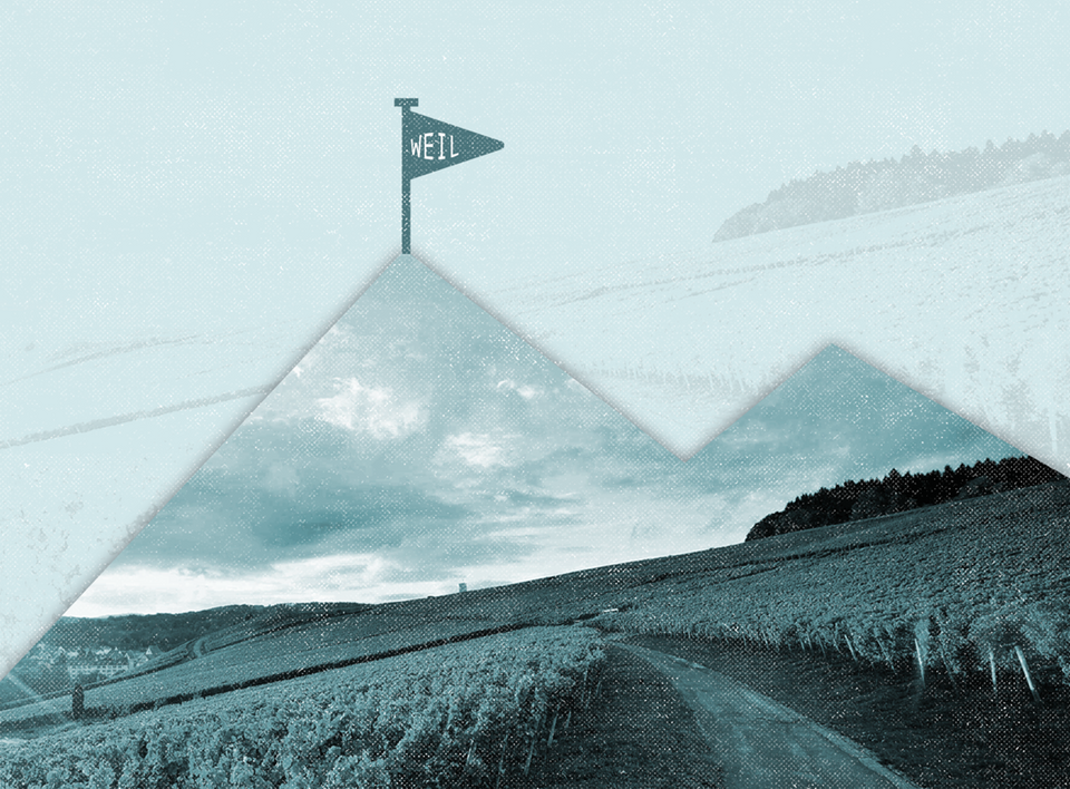 Simonit&Sirch Ultimate Pruning Guide – Bibendum Wine Co.