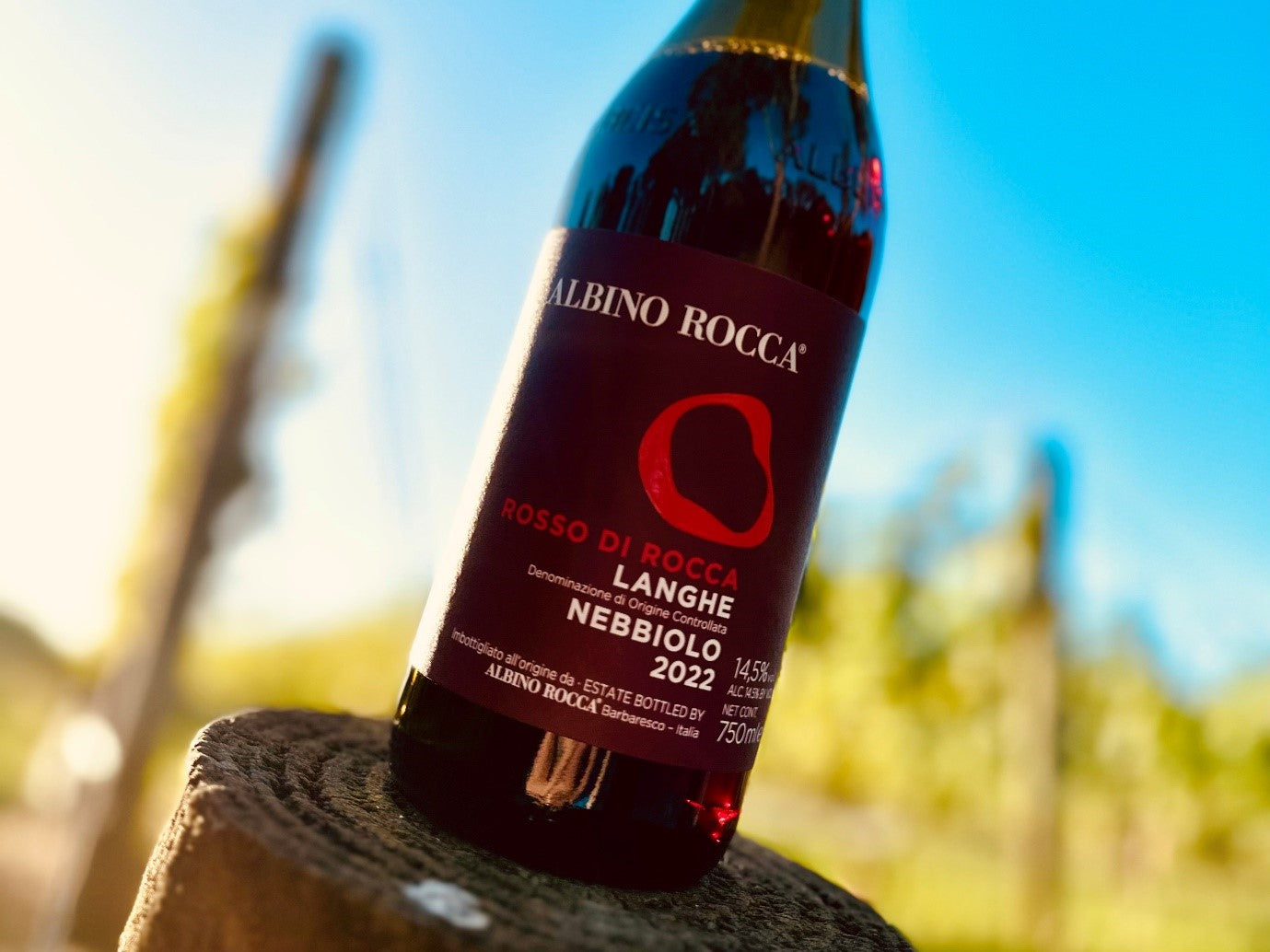 Everyday Piemonte – Bibendum Wine Co.