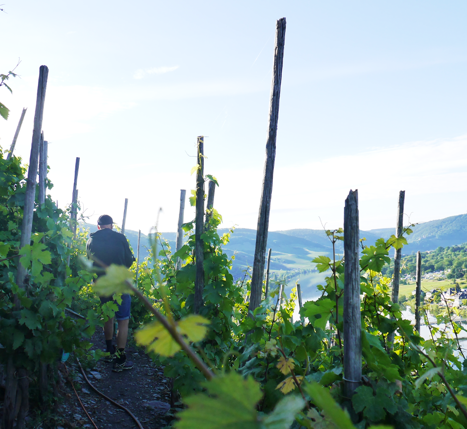 About Us – Bibendum Wine Co.