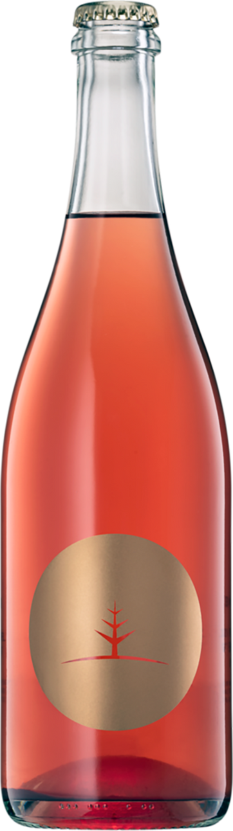 Bondar Pétillant Naturel 2022 – Bibendum Wine Co.